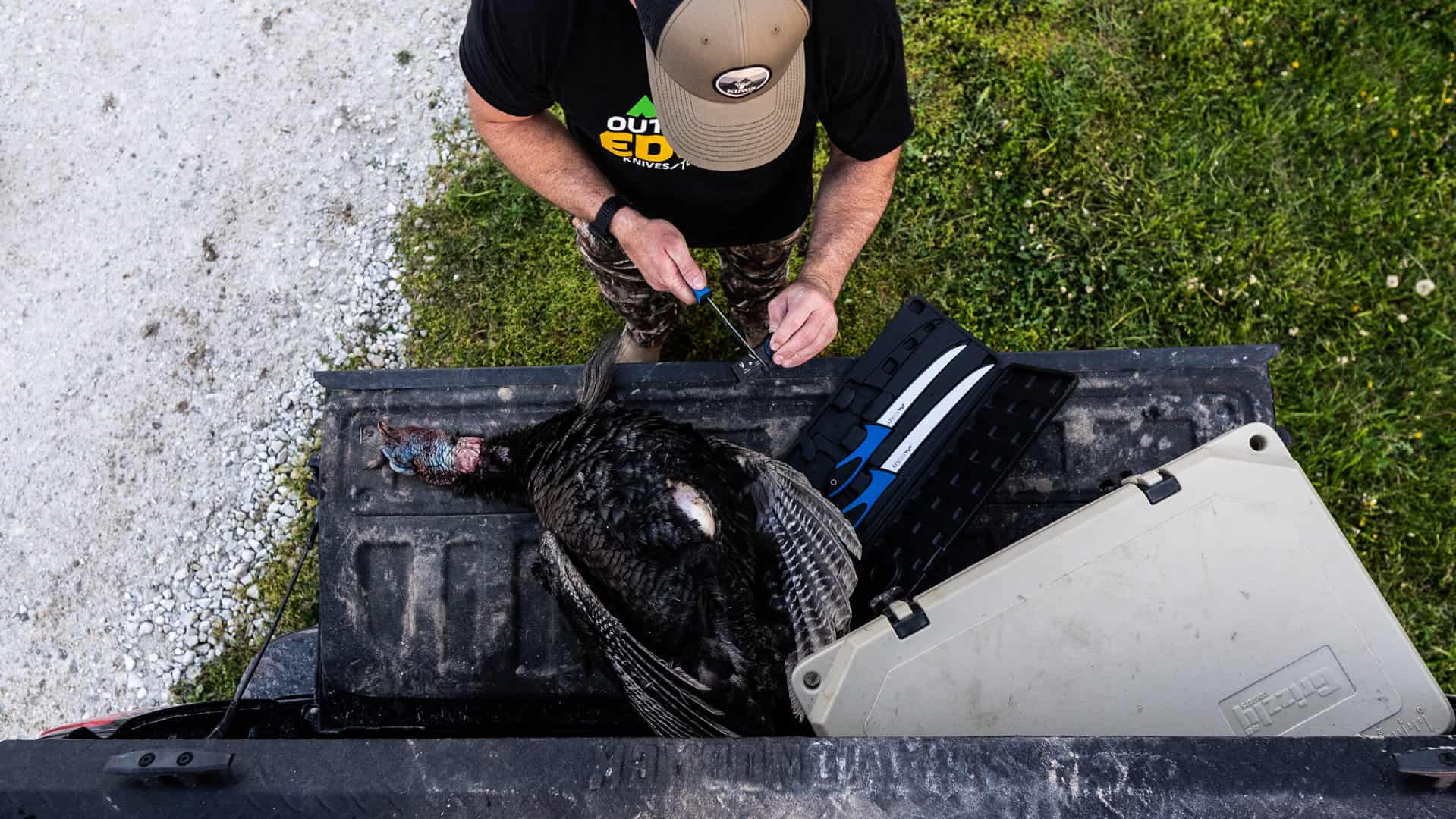 Wild Turkey - Spring Fling – Grizzly Coolers