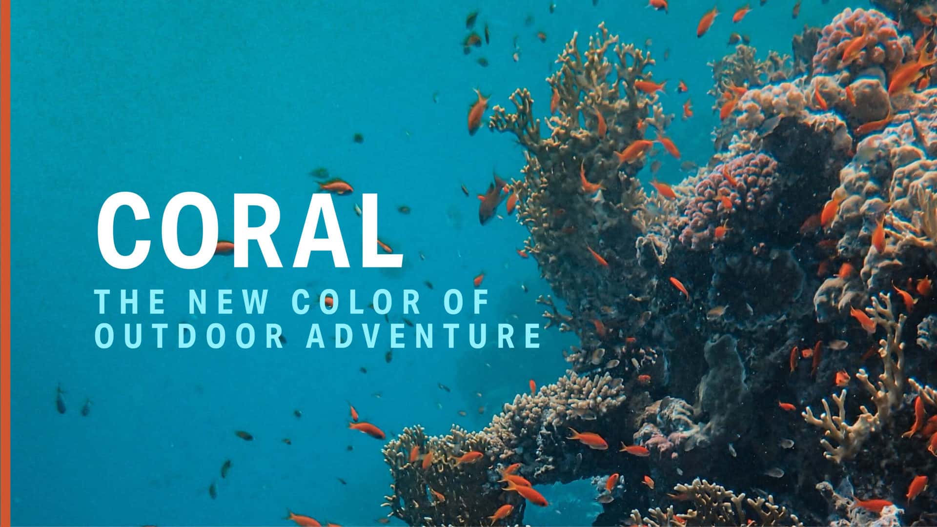 Coral Colored Coolers Inspired By Outdoor Adventures – Grizzly Coolers