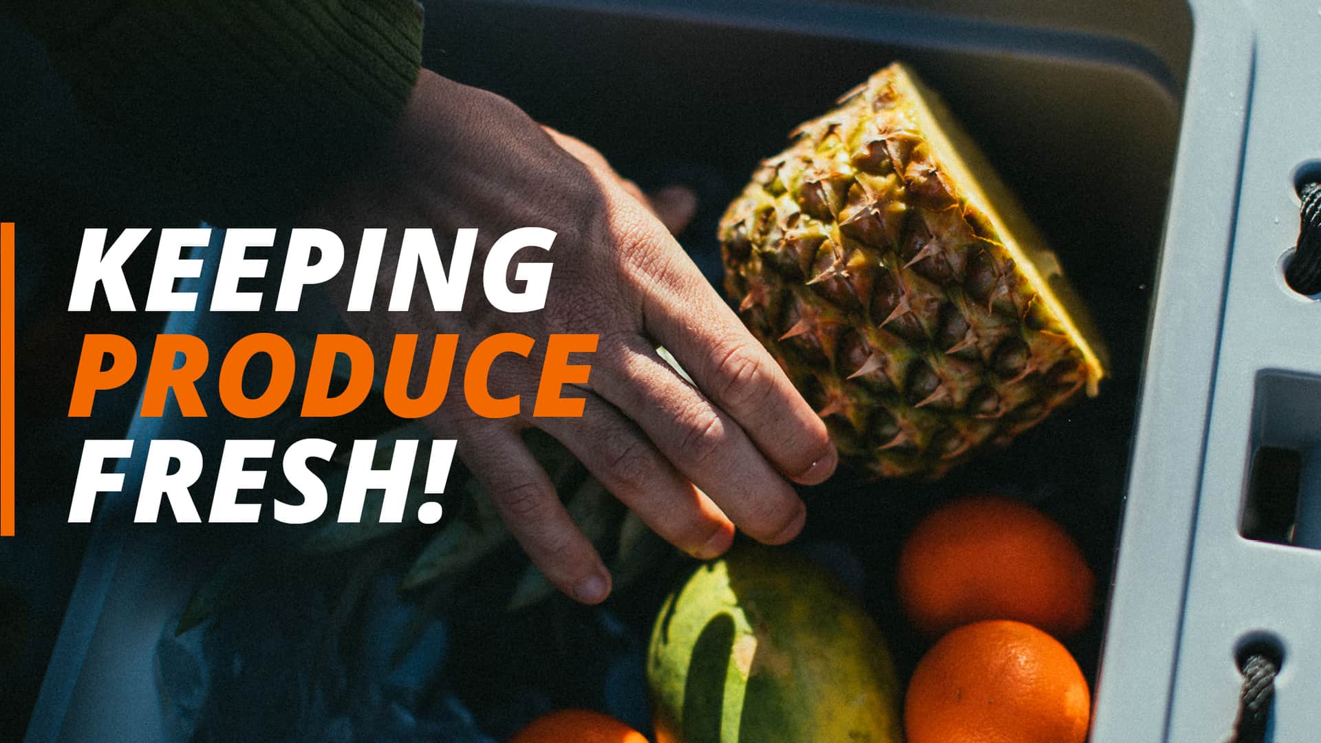 How To Keep Produce Fresh At Farmers Market – Grizzly Coolers